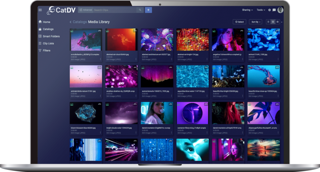 CatDV Pro Asset Management Software - mLogic